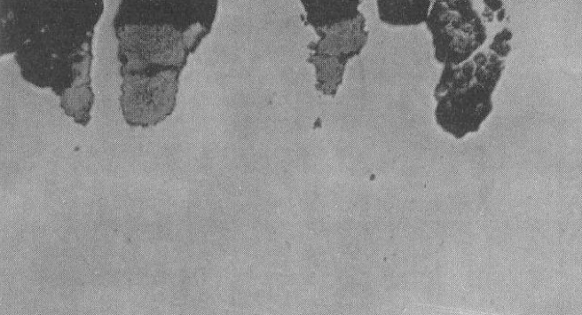 Morphology of localized attack on compression side. – About Corrosion